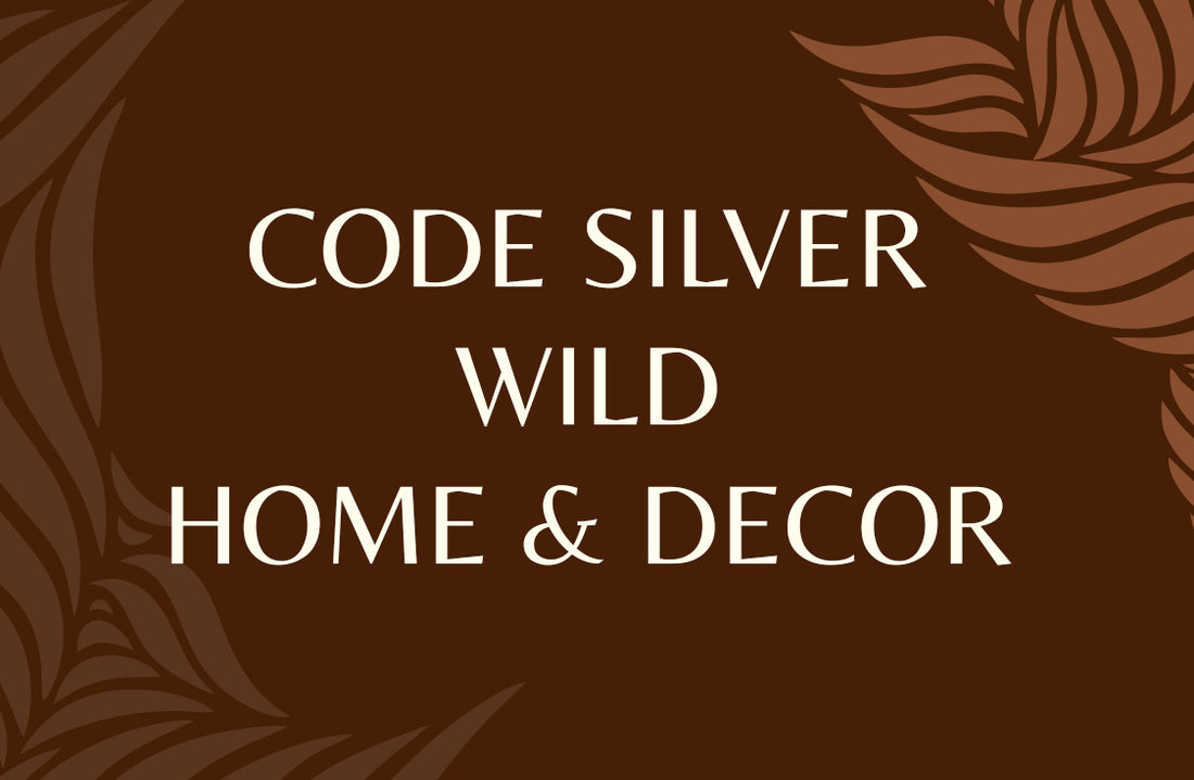 Buy Elegant Home Decor & Silver Housewarming Gifts | Code Silver